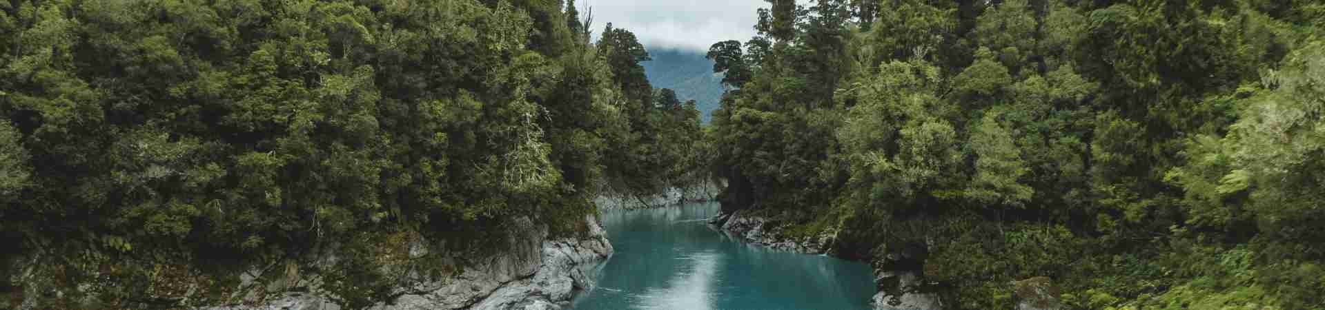 Natural Capital Collaborative (NatCap) | EfD - Initiative