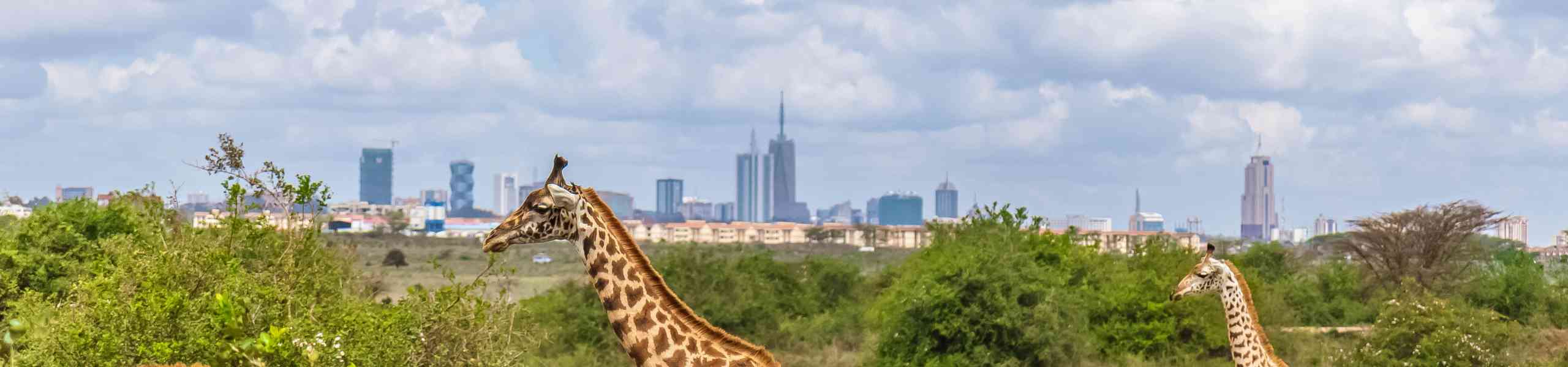 EfD Annual Report 2024 | EfD - Initiative