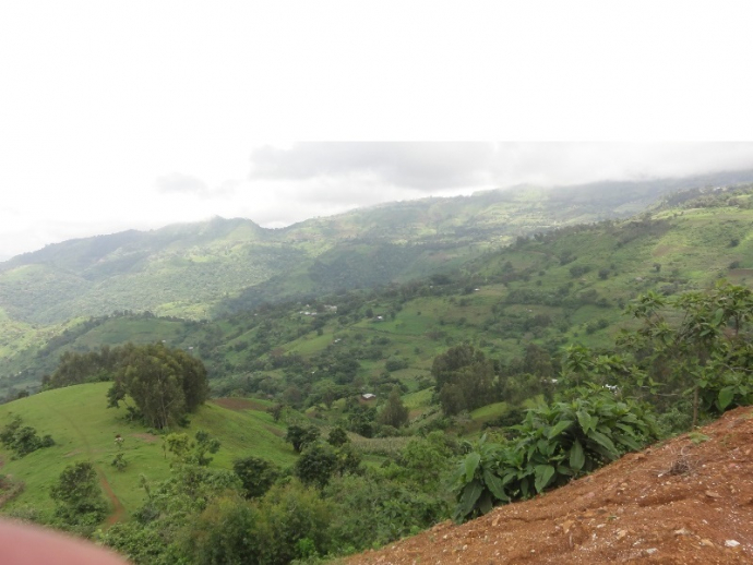 Ethiopian Communities Work Together to Conserve Forests | EfD - Initiative