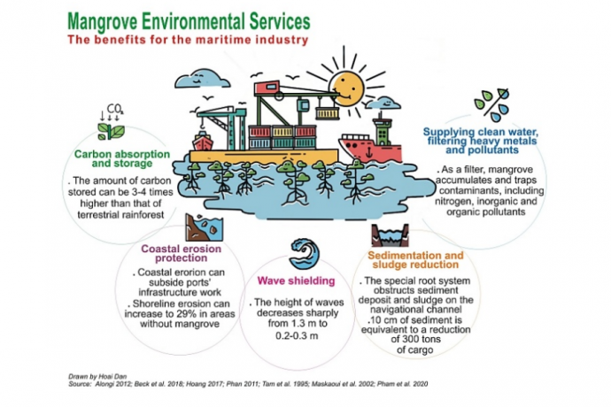 The role of mangroves in supporting shipping industry commitments to ...