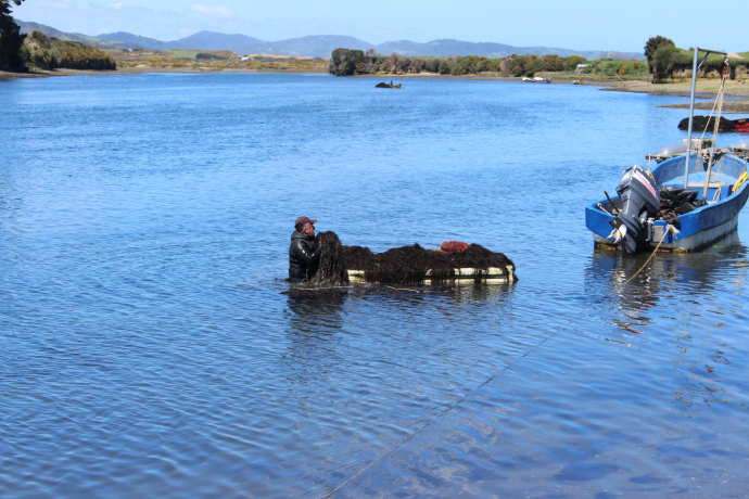 Assessing the aquaculture performance indicators (APIs) – Evidence from ...