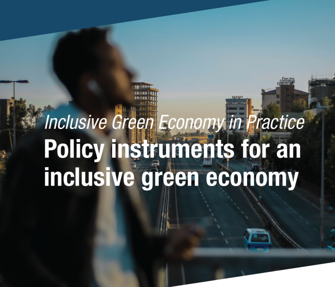 Inclusive Green Economy in Practice - Policy instruments for an ...