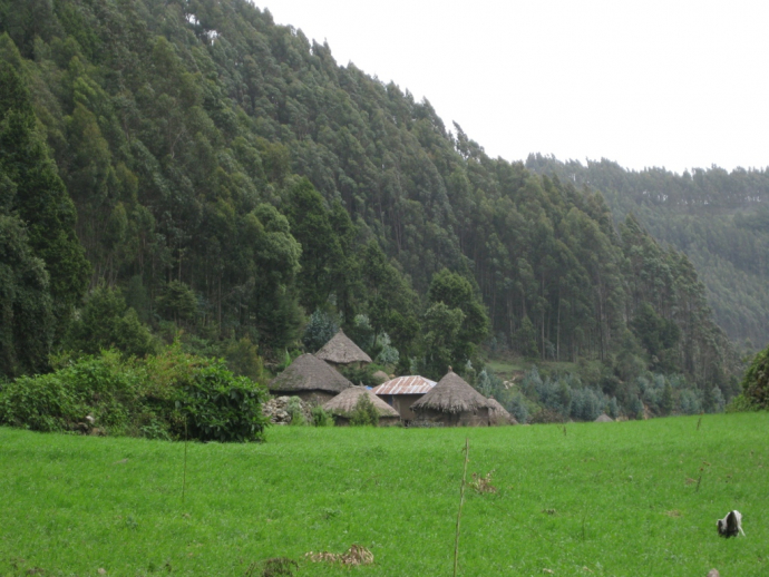 Launch Of New Efd Collaborative Research Program On Forestry Efd