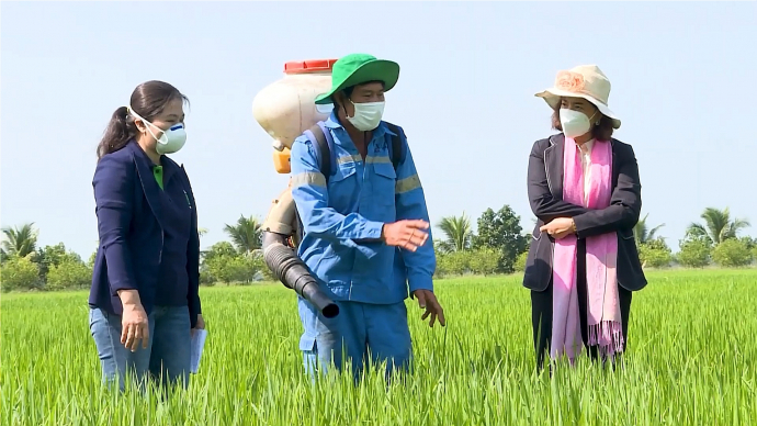 EfD-funded project using laser technology improves rice farming in ...