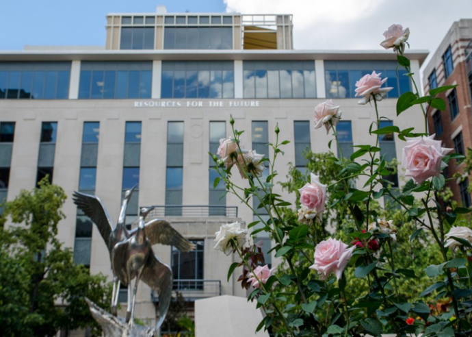 Resources for the Future (RFF) | EfD - Initiative