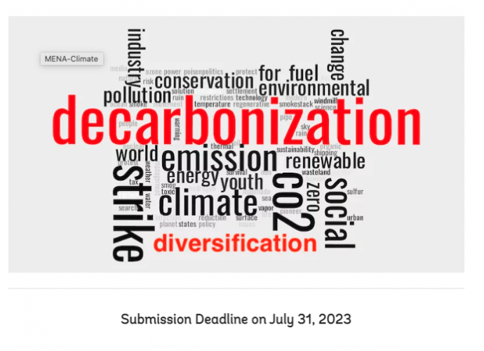 Call for proposals: Decarbonization and Diversification in the Middle East and North Africa ...