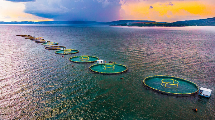 Study will provide knowledge on how fish farmers perceive climate ...